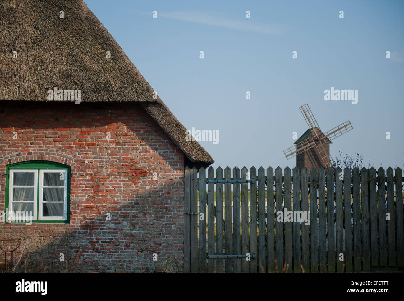 Traditional Frisian houses at Ketelswarf on Hallig Langeneß, an "island ...
