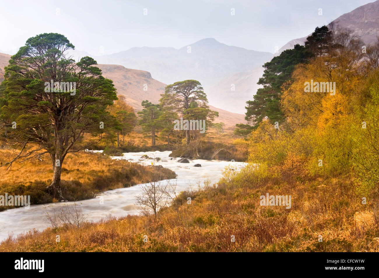Glen torridon hi-res stock photography and images - Alamy