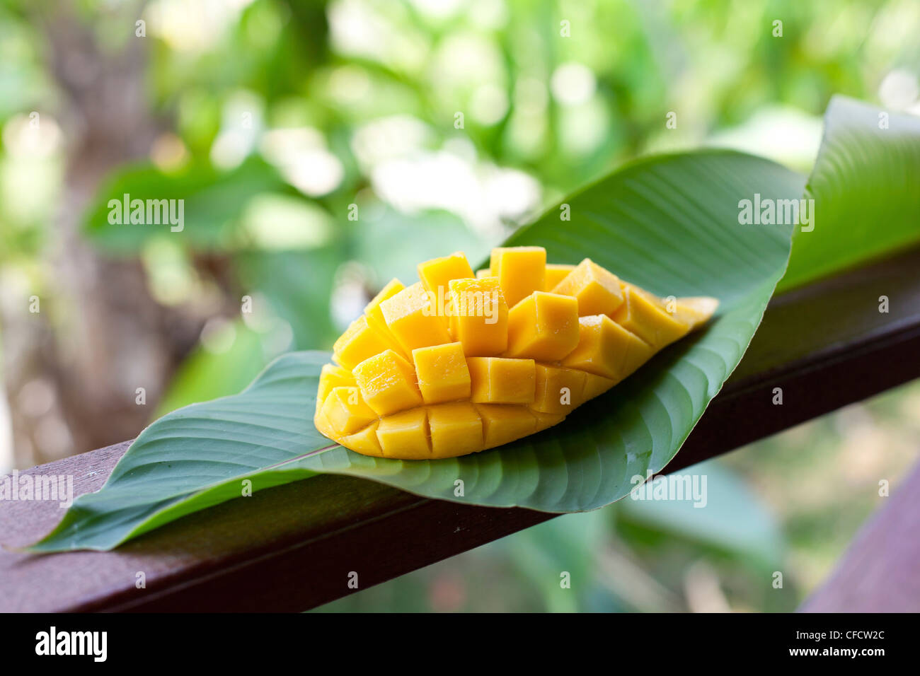 Mango with leaf hi-res stock photography and images - Alamy