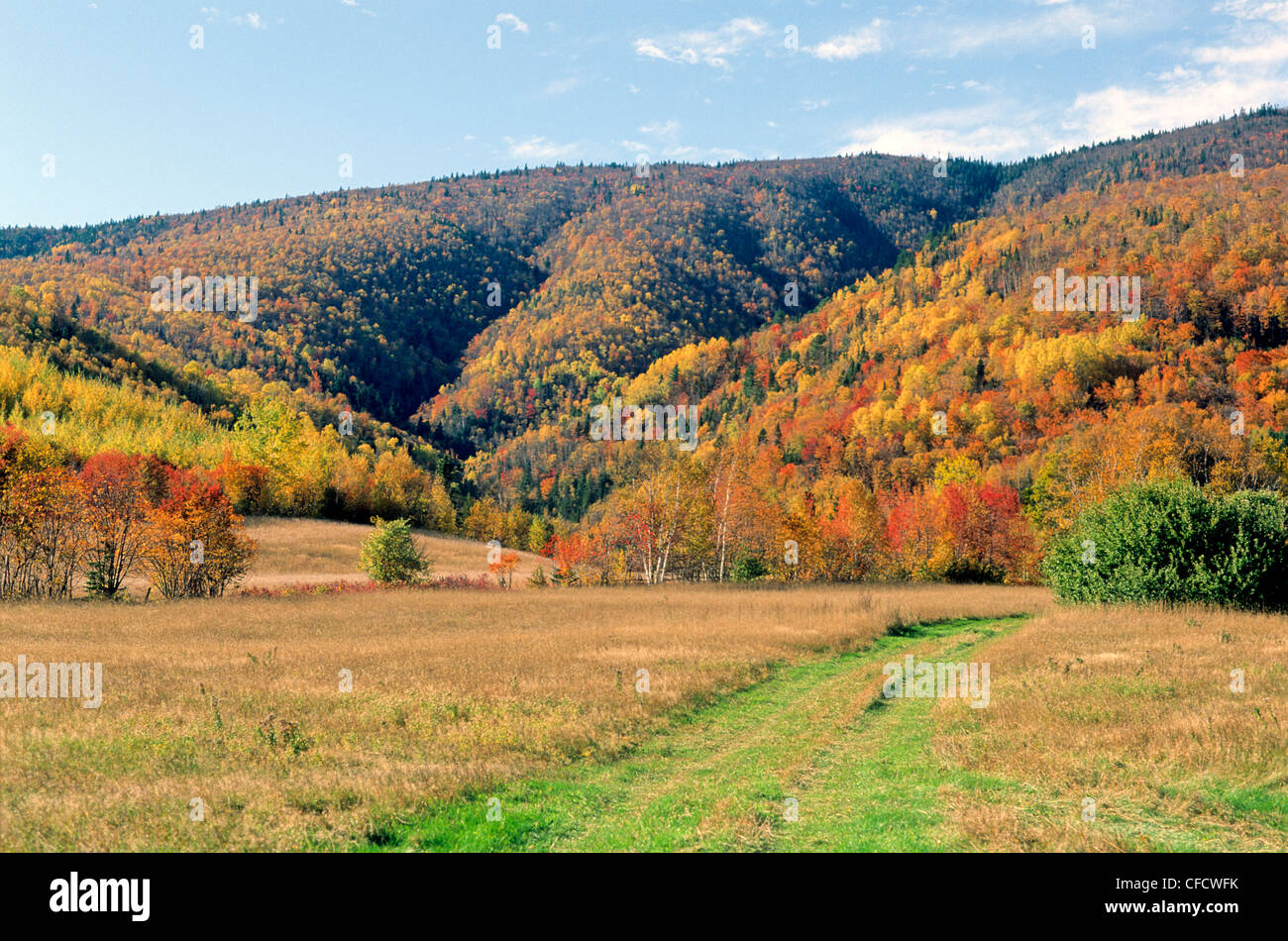 Fall Foliage Quebec Stock Photos & Fall Foliage Quebec Stock Images - Alamy