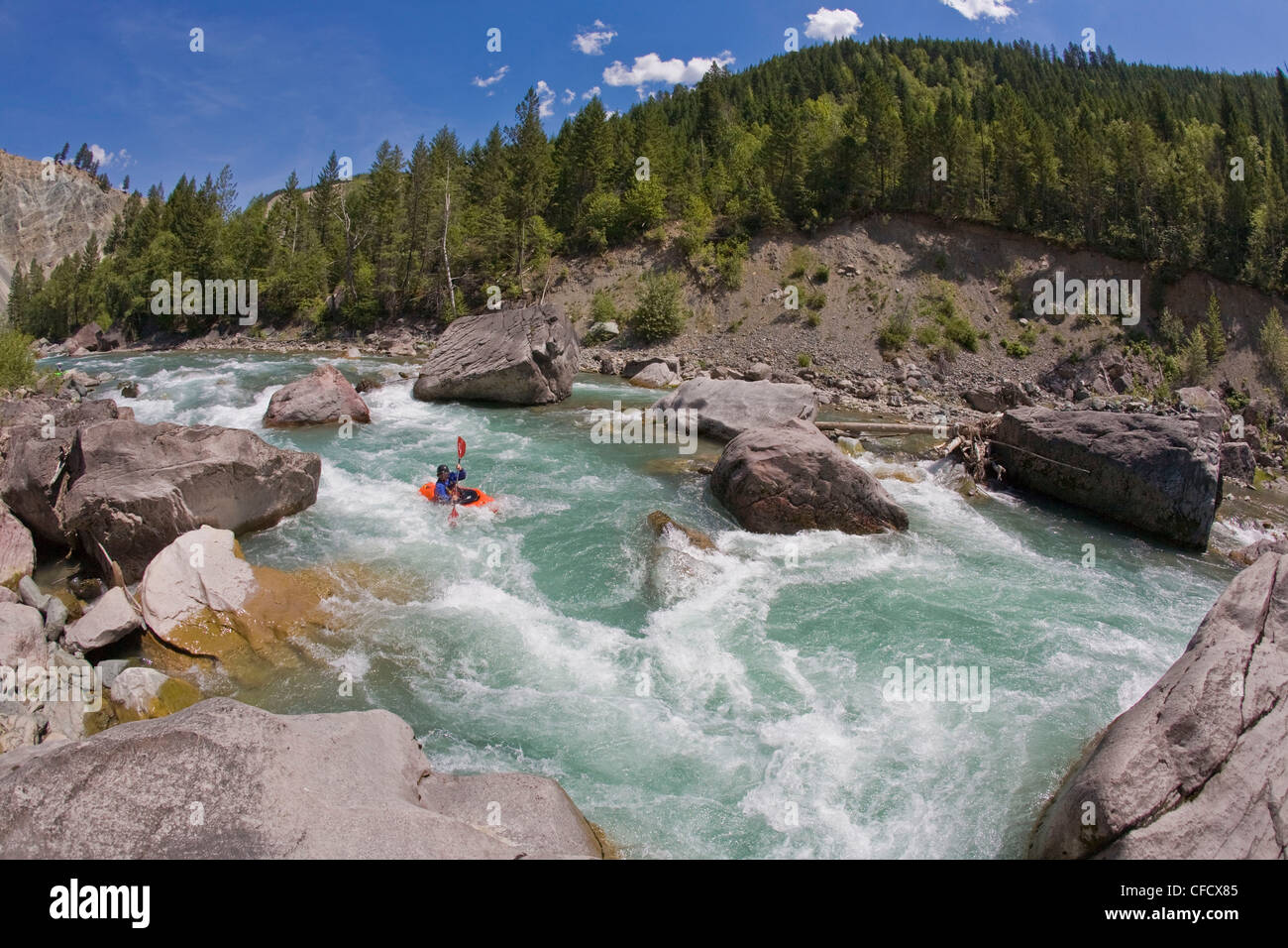 A male kayaker paddles the Wigwam River, class 4 in Fernie, British ...