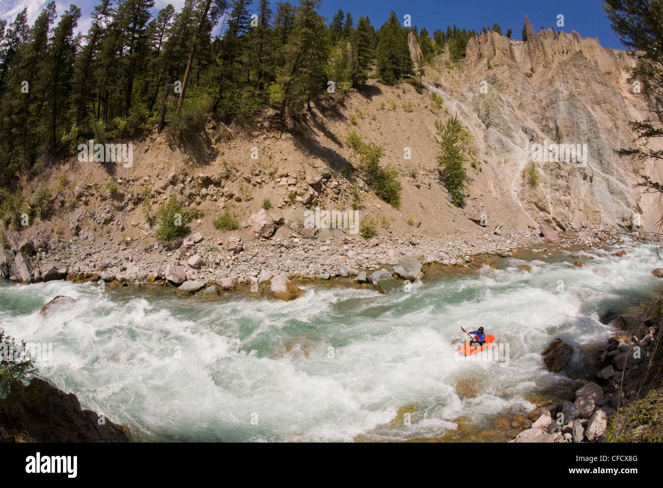 A male kayaker paddles the Wigwam River, class 4 in Fernie, British ...