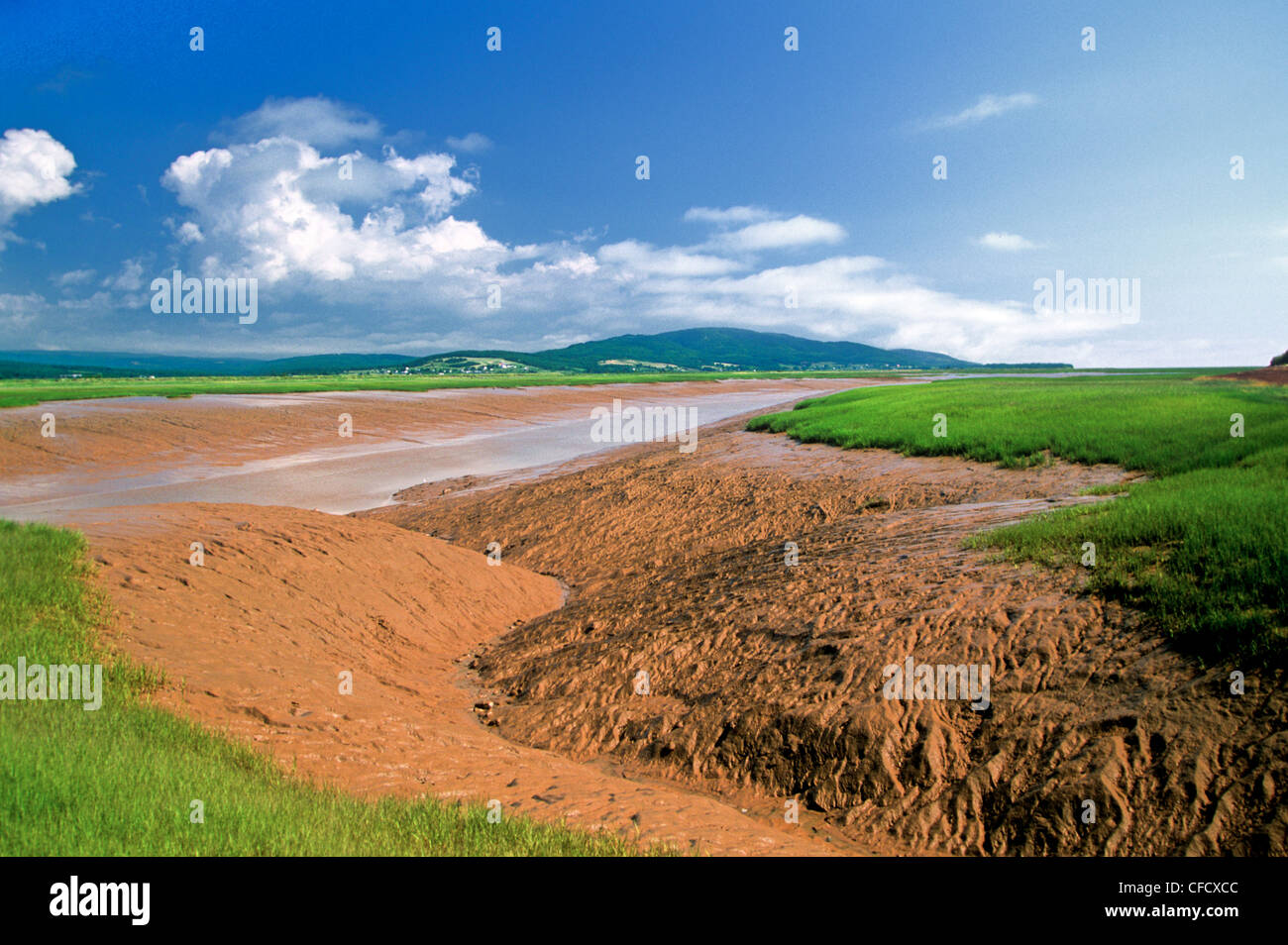Shepody New Brunswick High Resolution Stock Photography and Images - Alamy