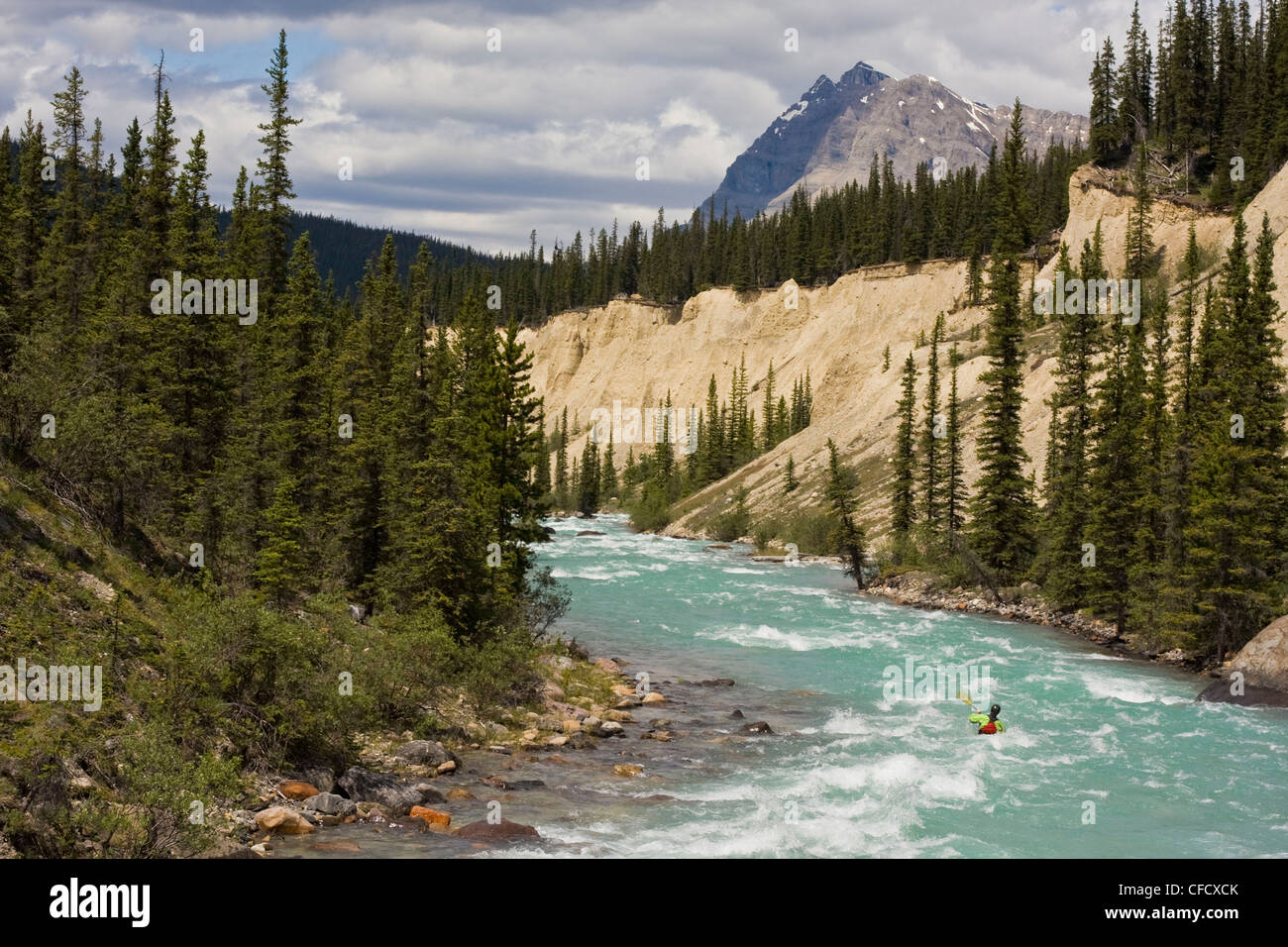 Male kayaker paddles the Mistaya River, Banff National Park, Alberta ...
