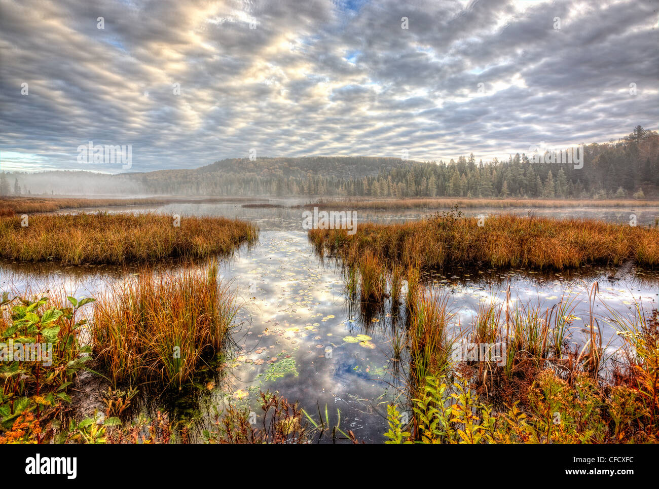 South end of Opeongo Lake, Algonquin Park, Ontario, Canada Stock Photo ...