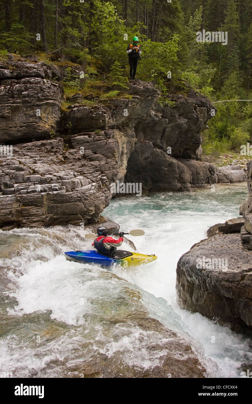 Small fiddle hi-res stock photography and images - Alamy