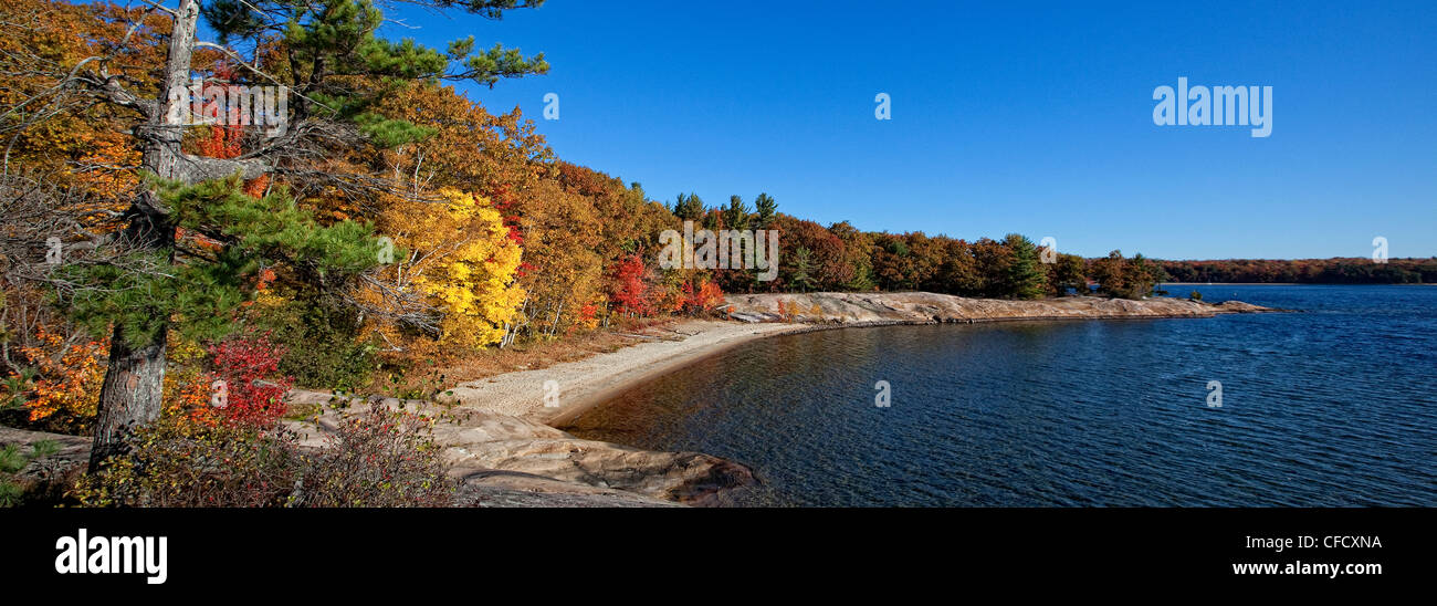 Panoramic view of fall colours in Killbear Provincial Park, Ontario ...