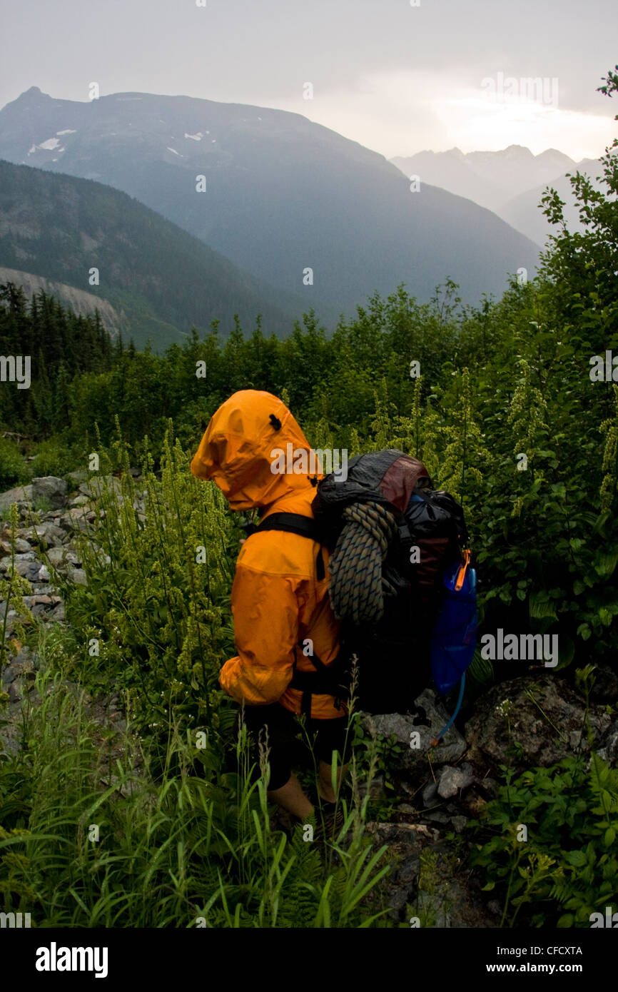 Moutain climbing, glacier national park hi-res stock photography and ...