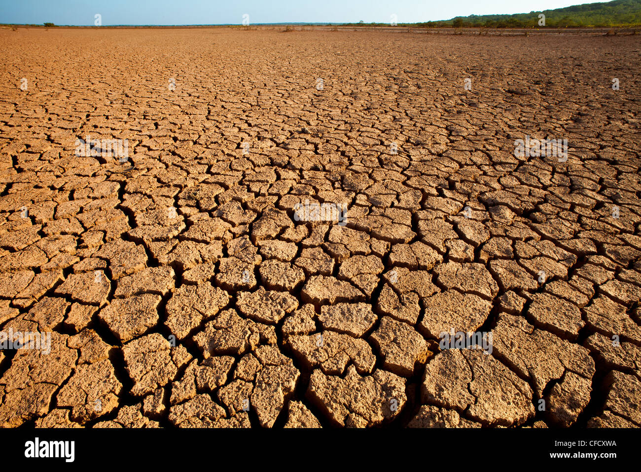Cracked earth in Sarigua national park (desert) in Herrera province ...