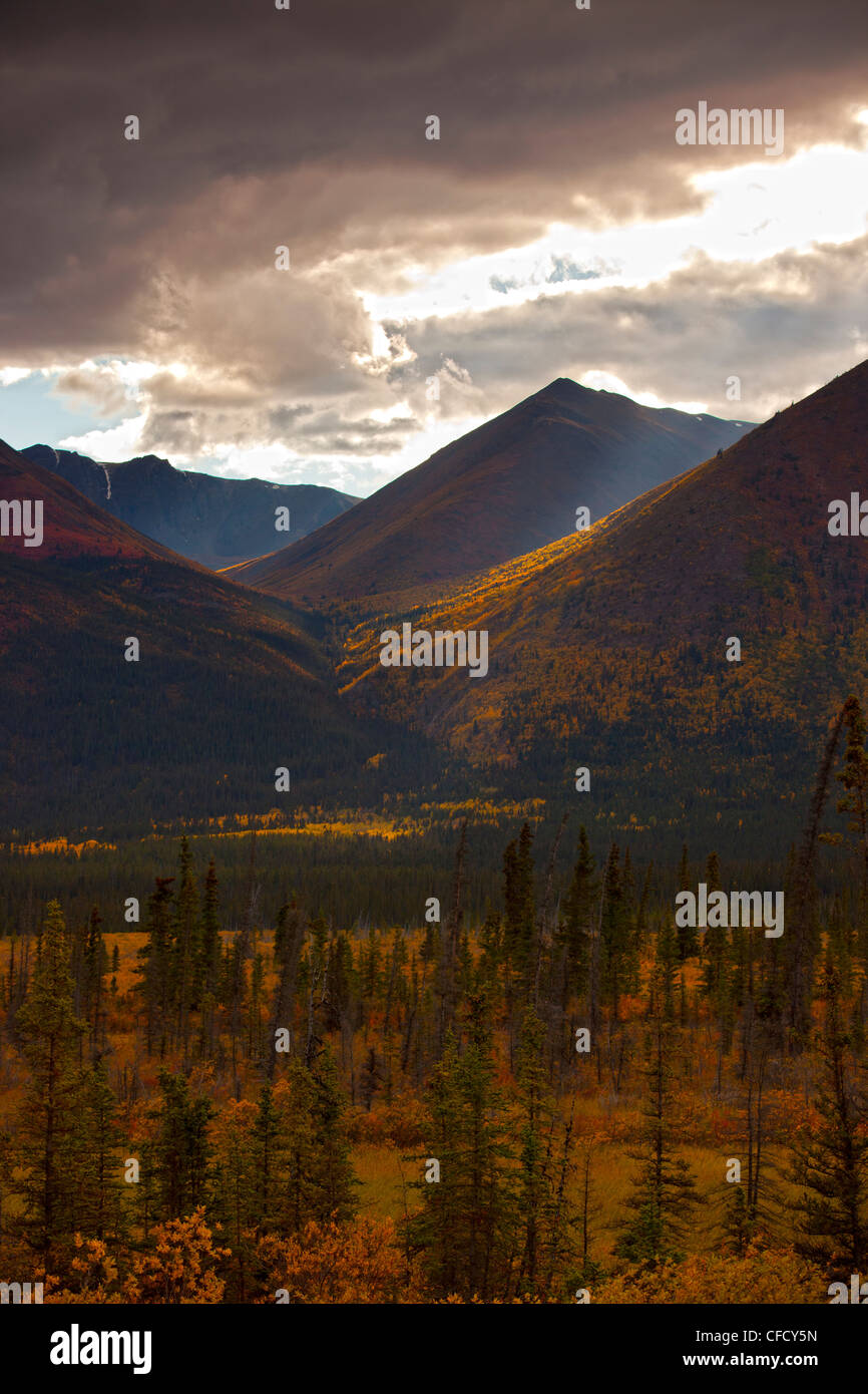 Shaft of sunlight hitting the fall foliage along the Annie Lake Road ...