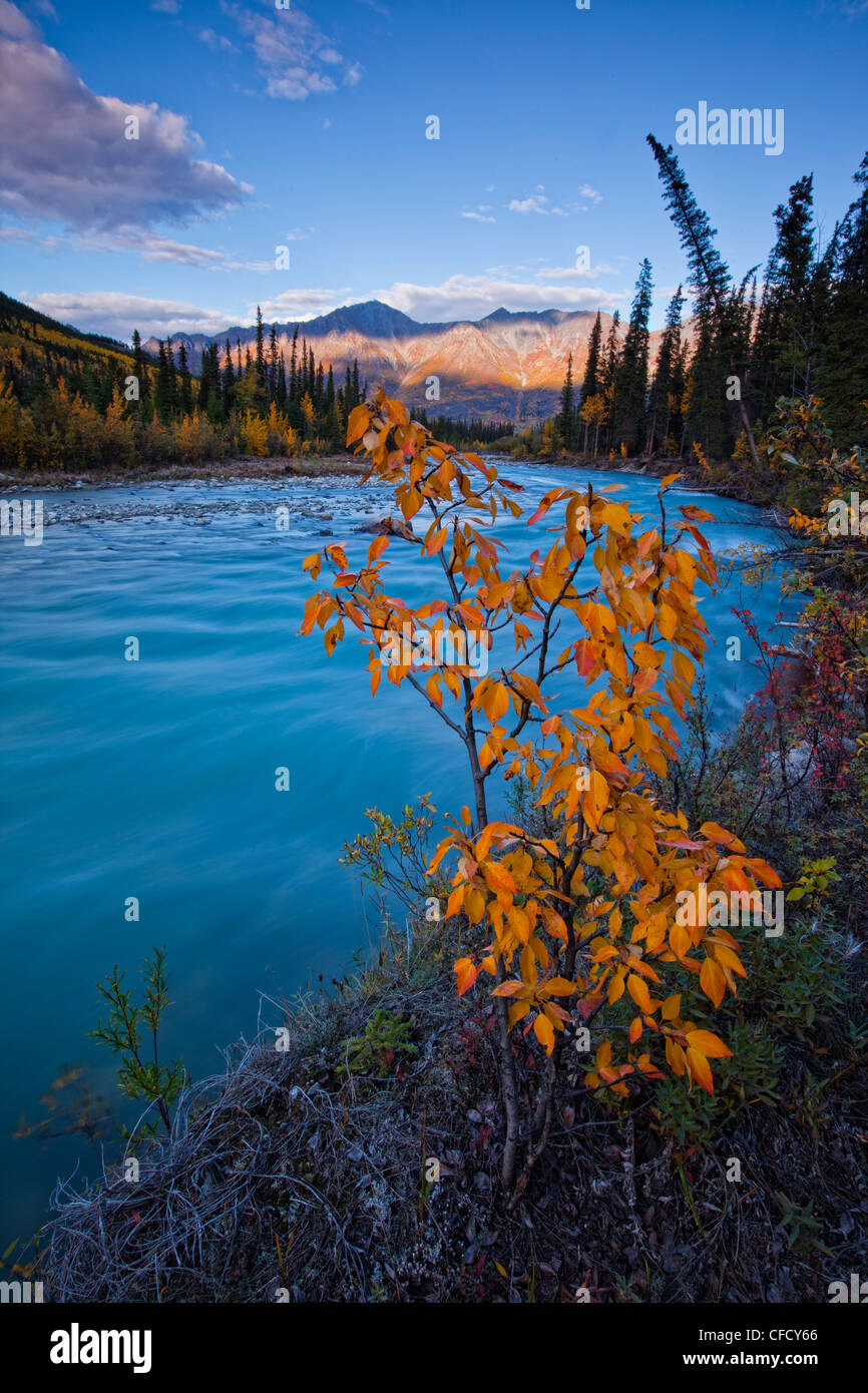 Fall colours along the Wheaton River, Yukon, Canada Stock Photo - Alamy