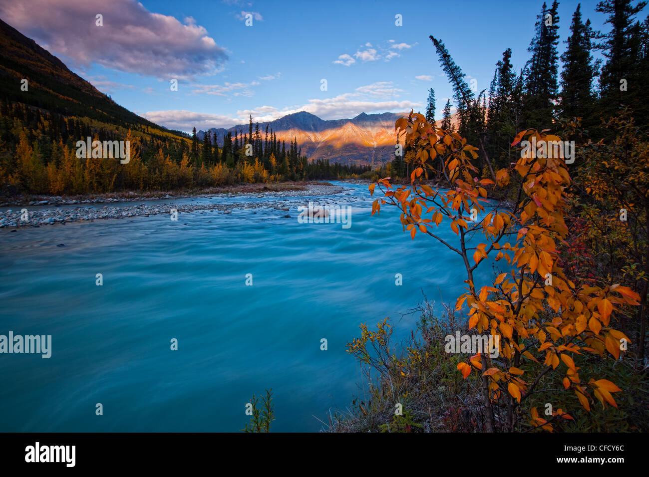 Fall colours along the Wheaton River, Yukon, Canada Stock Photo - Alamy