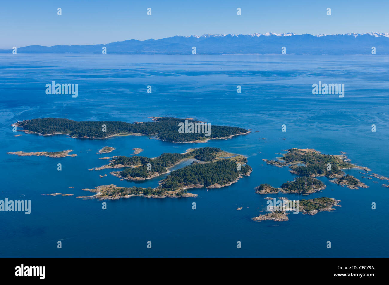 Chatham islands hi-res stock photography and images - Alamy