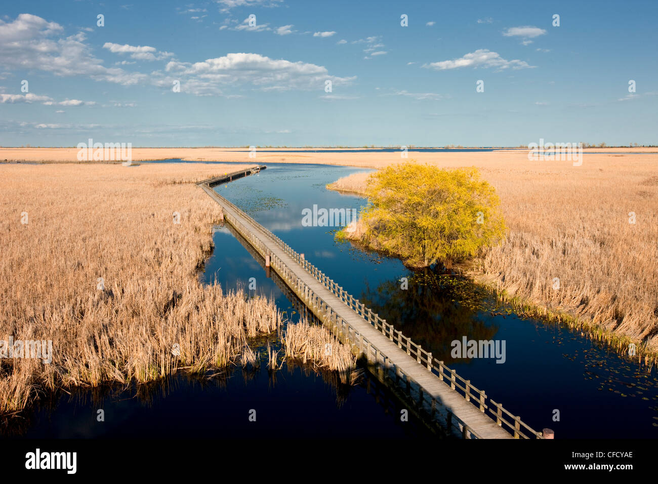 Marsh boardwalk trail, Point Pelee National Park, Essex County, Ontario ...