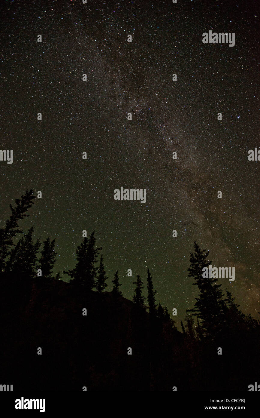 Milky way over trees, Yukon, Canada Stock Photo - Alamy