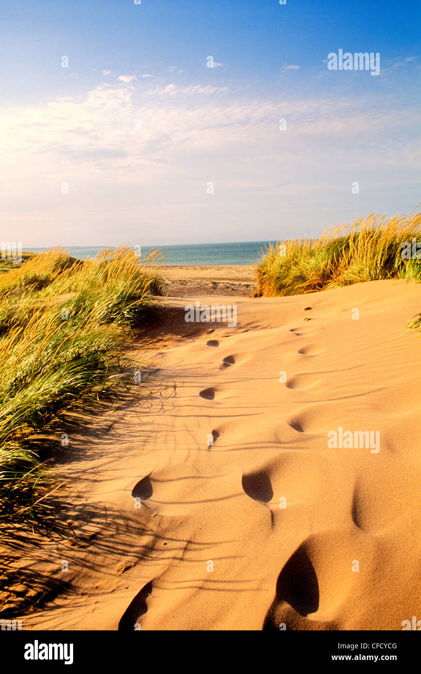 Cavendish Sandspit, Prince Edward Island National Park, Canada Stock ...