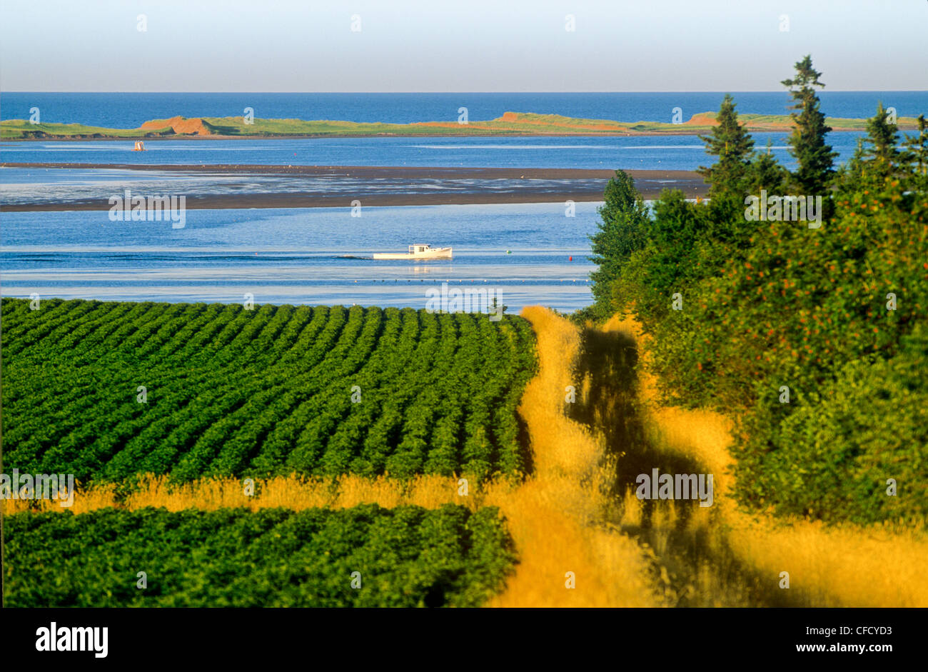 Springbrook prince edward island canada hi-res stock photography and ...