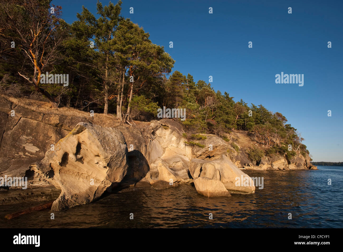 Sculpted sandstone on the shores of Tumbo Island, Gulf Islands National ...