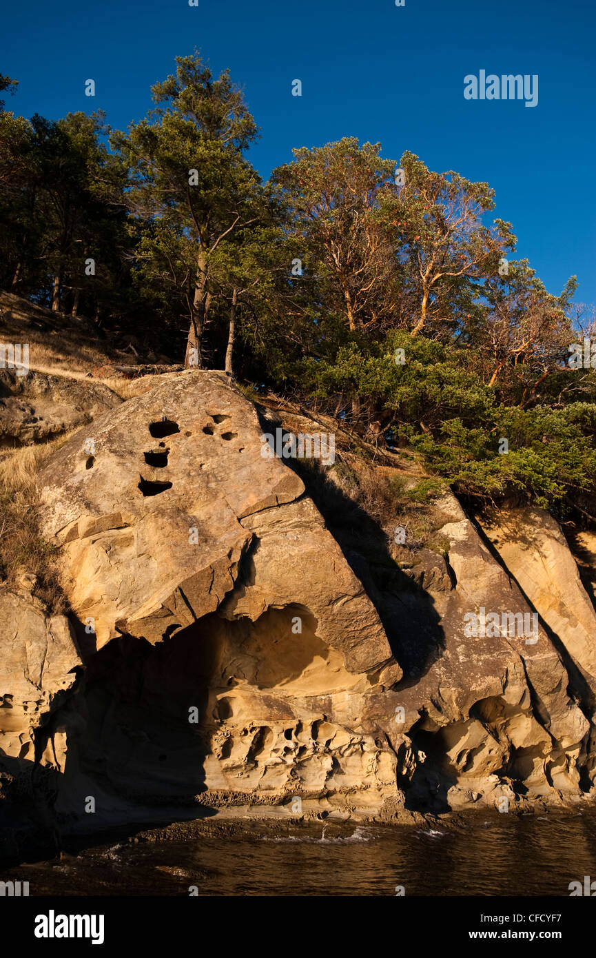 Sculpted sandstone on the shores of Tumbo Island, Gulf Islands National ...