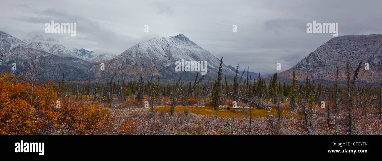 Snow coats the autumn colours and mountains along the Annie Lake Road ...