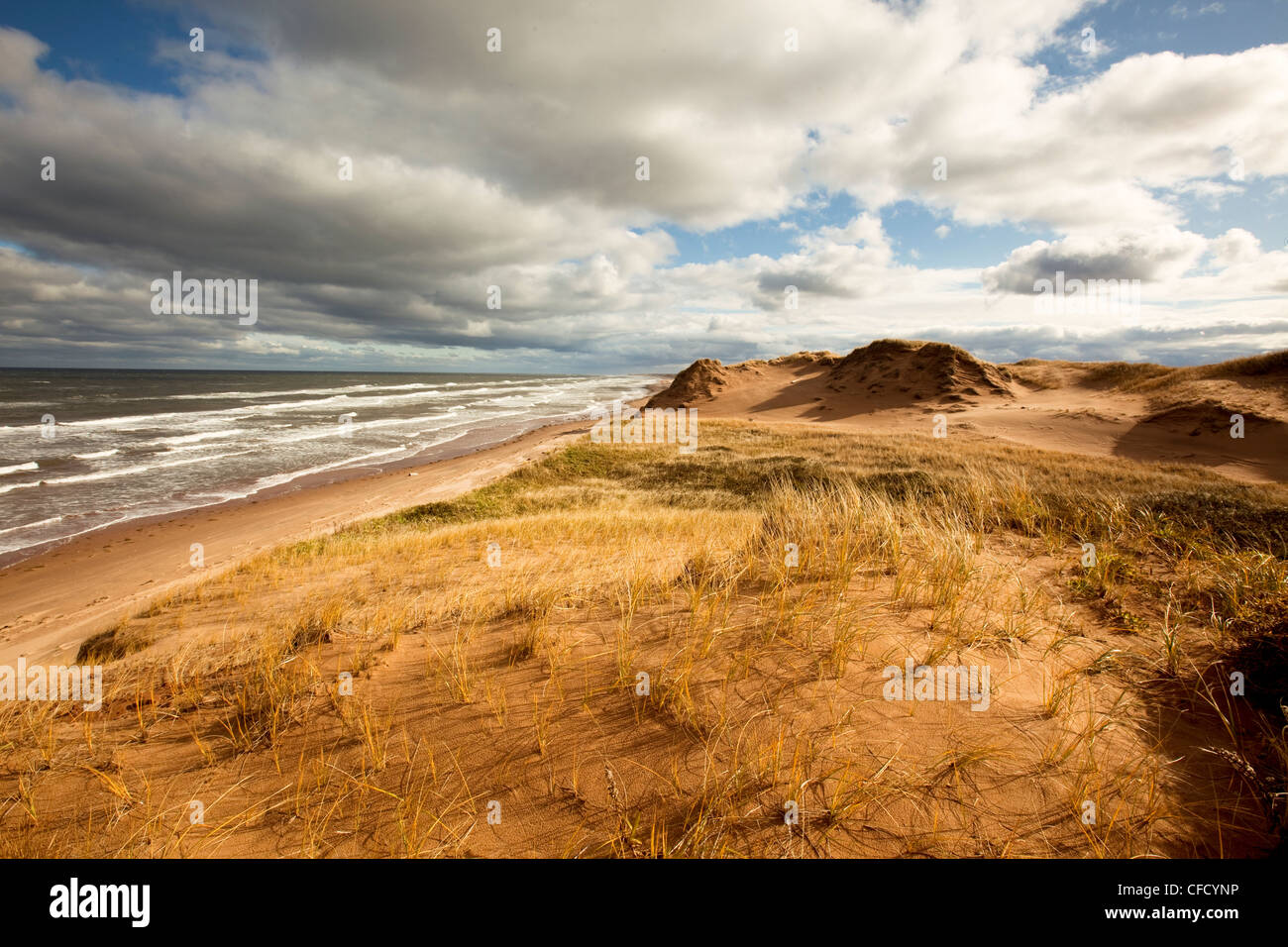Sand Dune Brackley Beach Prince Edward Island National Park Canada