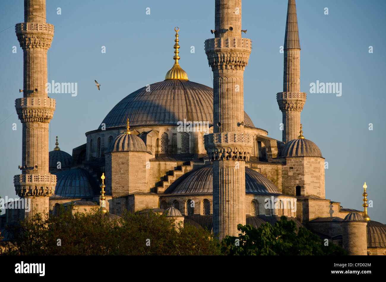 Mosque domes and plants islamic hi-res stock photography and images - Alamy