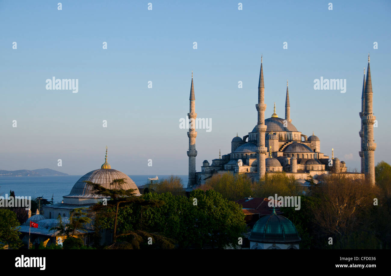 Mosque domes and plants islamic hi-res stock photography and images - Alamy