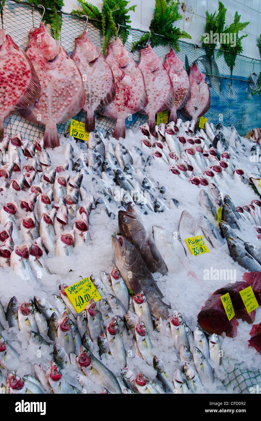 Fish Market at Kadikoy, Asian side of Bosphorus, Istanbul, Turkey Stock ...