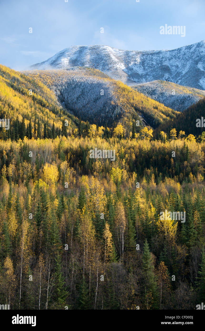 Northern rockies b hi-res stock photography and images - Alamy