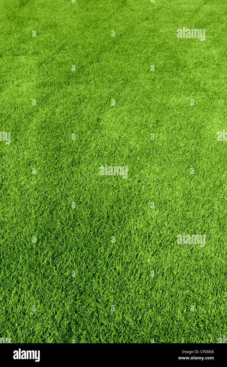 Photo of the beautiful green grass texture Stock Photo - Alamy