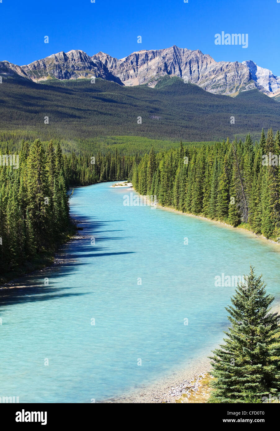 Conifers and rivers and evergreen trees hi-res stock photography and ...