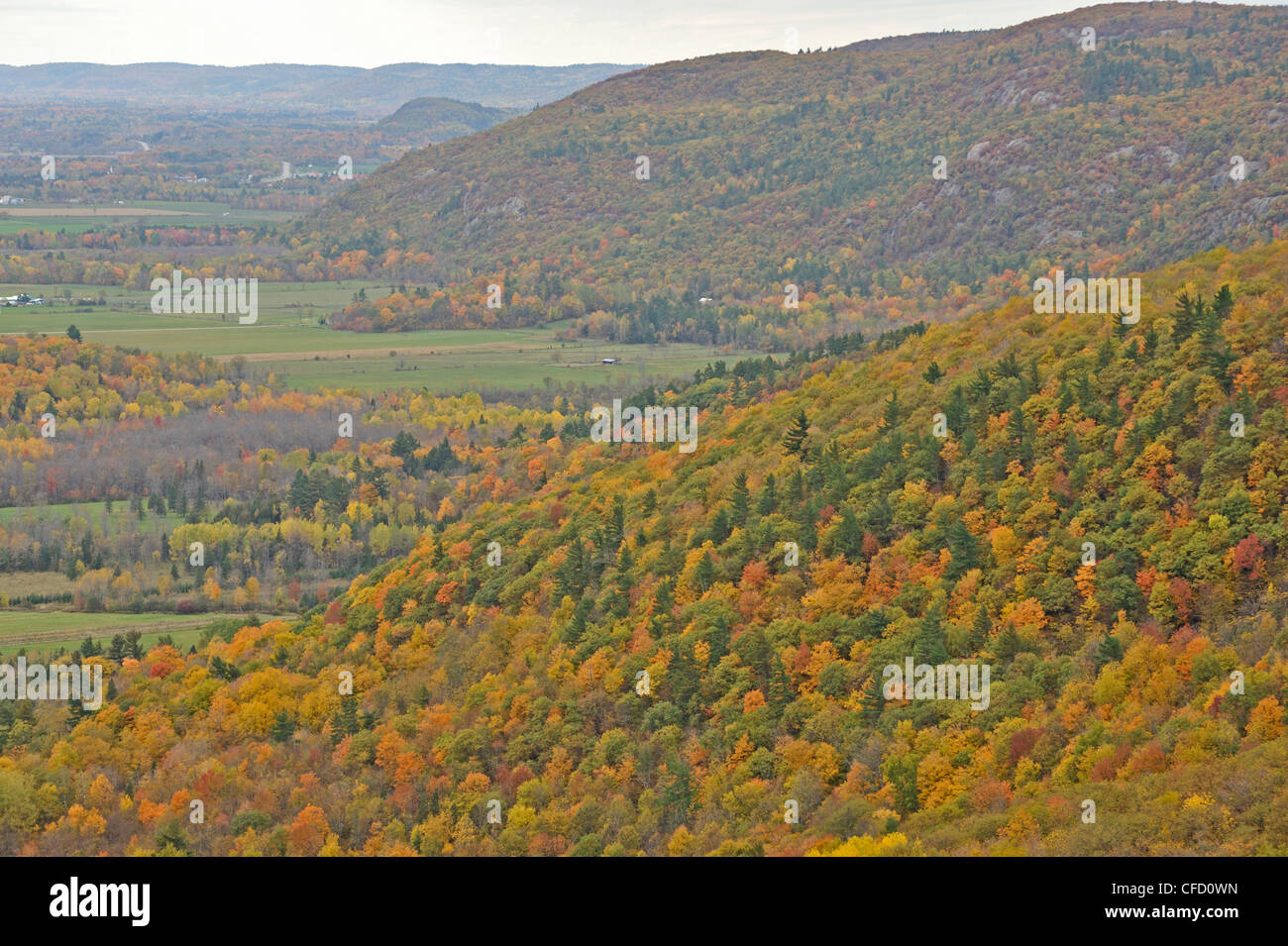 Eardley hi-res stock photography and images - Alamy