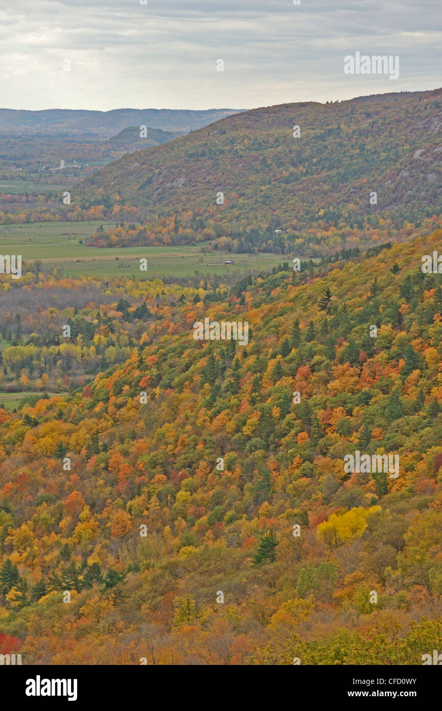 Eardley hi-res stock photography and images - Alamy