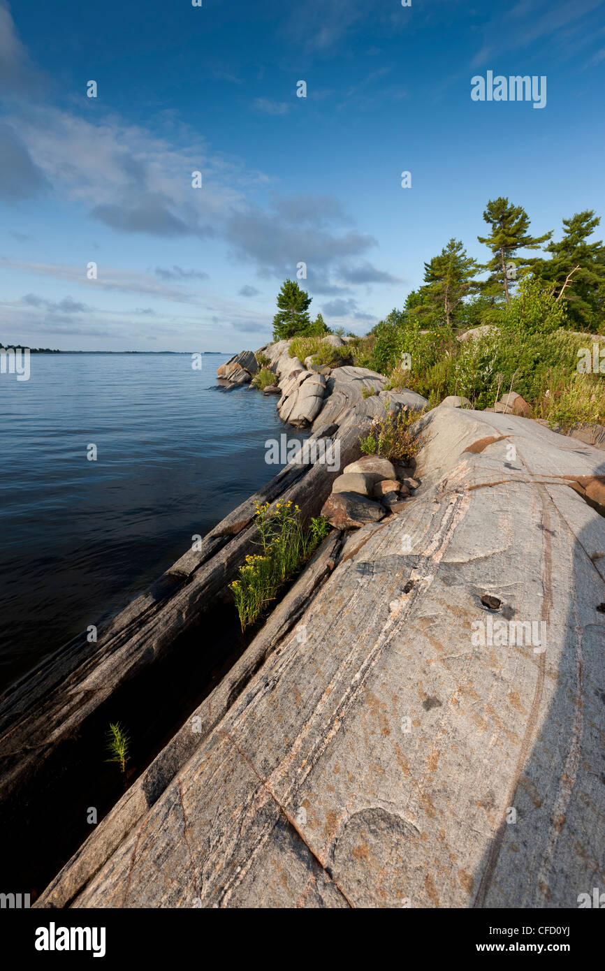 Rivers And Scenic Trees And Coasts High Resolution Stock Photography ...