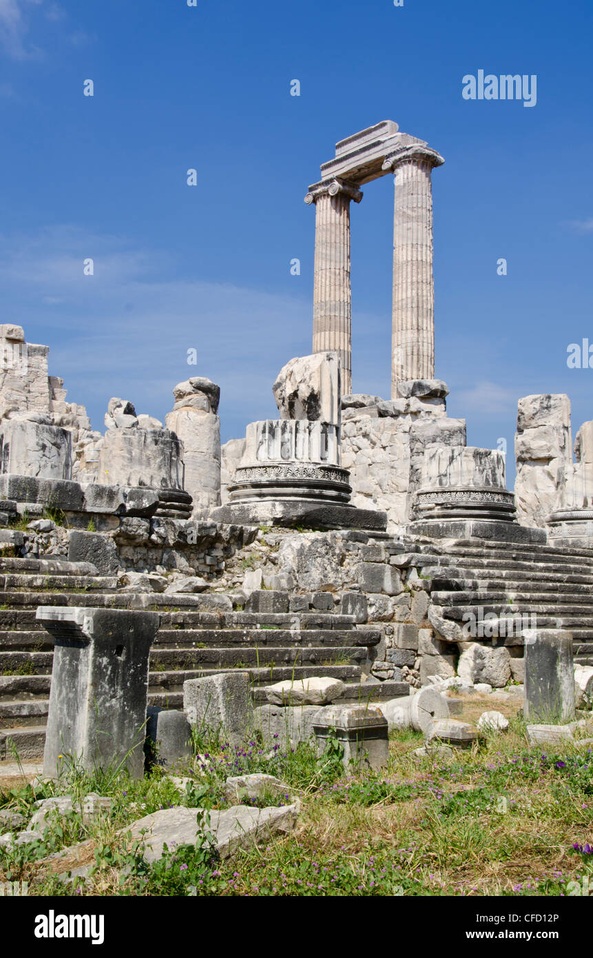 Didyma, an ancient Ionian sanctuary, in modern Didim, Turkey ...