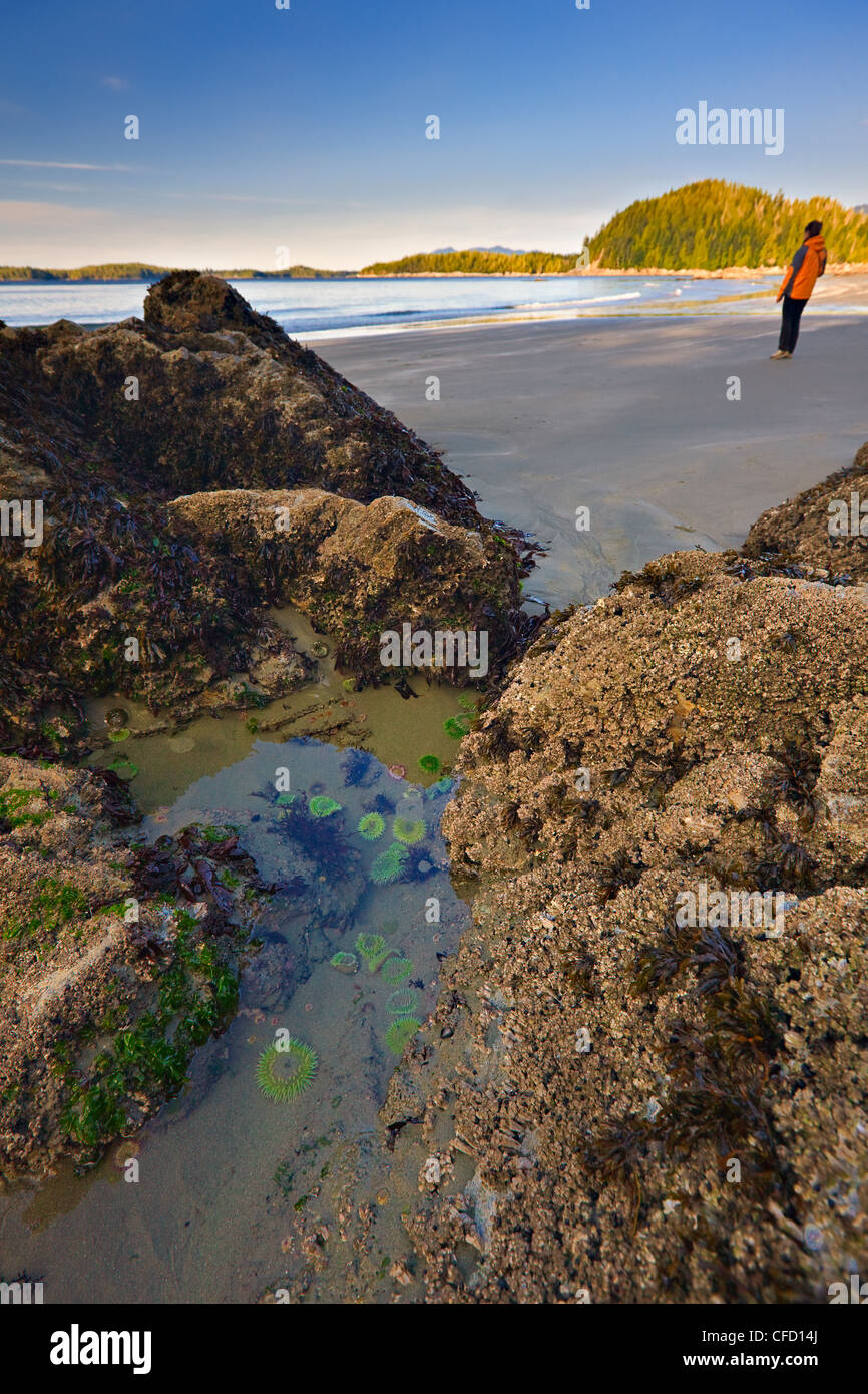 Walking into pool hi-res stock photography and images - Alamy