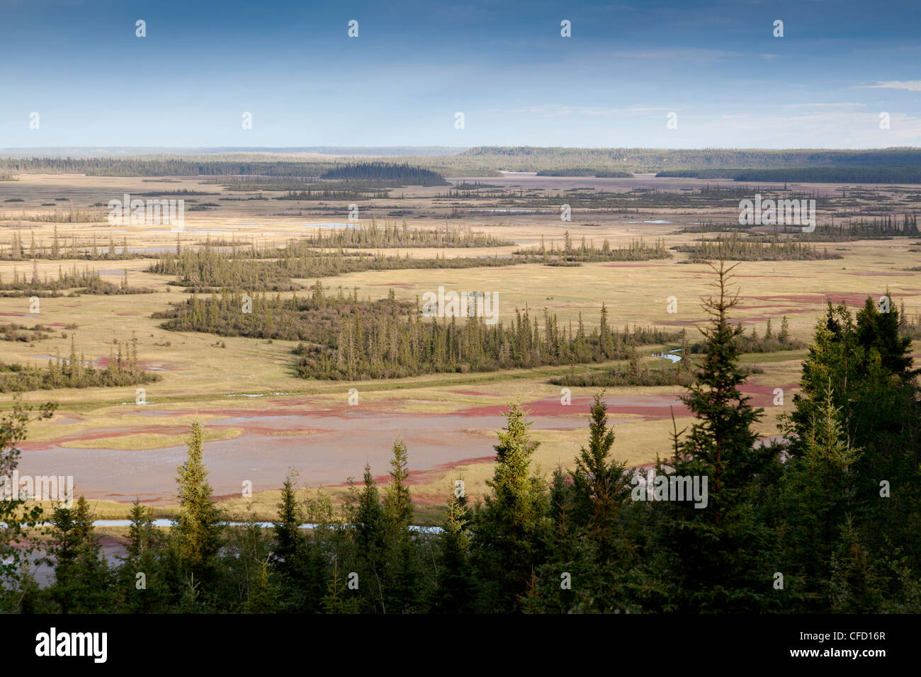 Wood Buffalo National Park Salt Plains High Resolution Stock ...