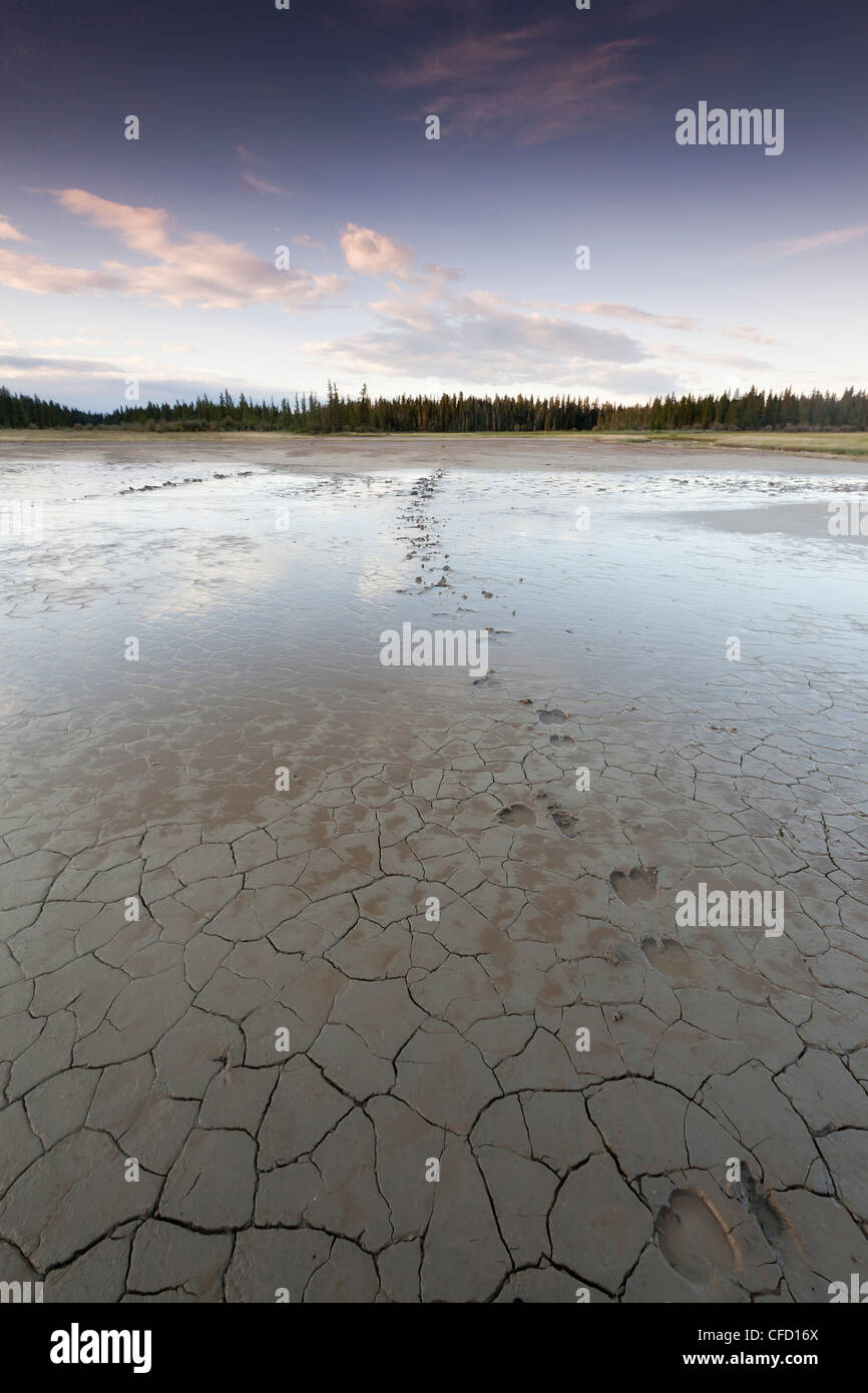 Wood Buffalo National Park Salt Plains High Resolution Stock ...