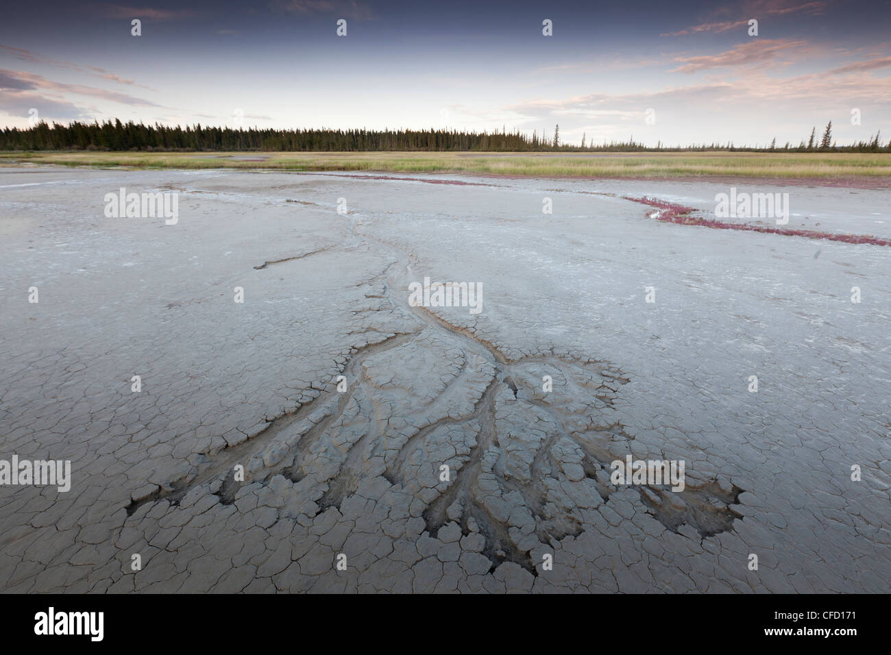 Wood buffalo national park salt plains hi-res stock photography and ...
