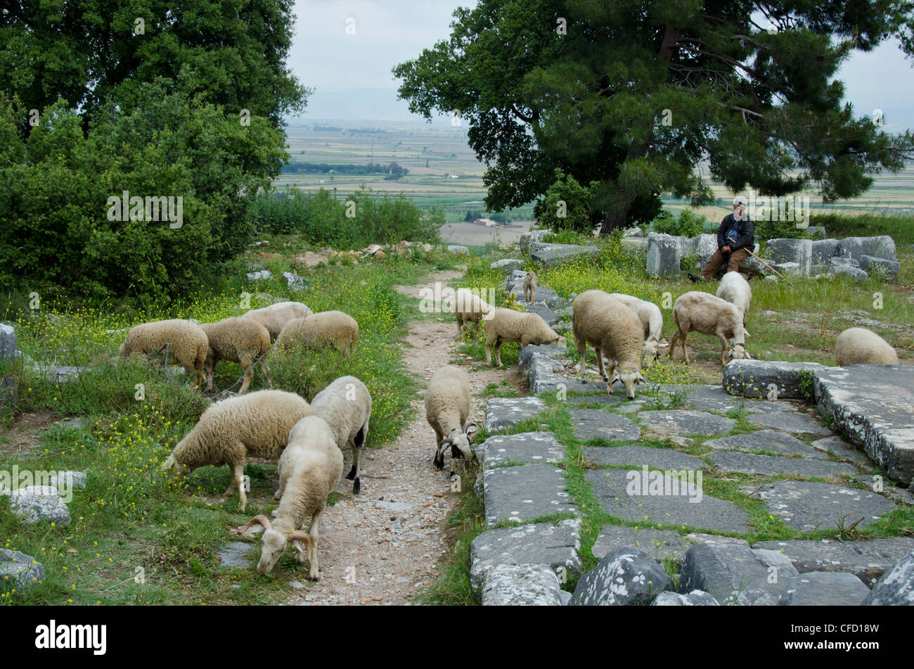 Ancient greek city of ionia at the base of an hi-res stock photography ...