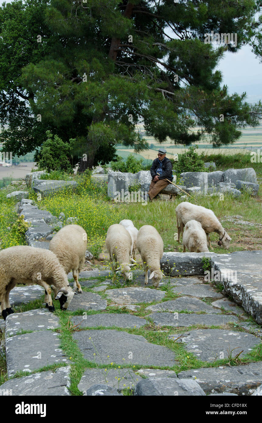 Ancient ionia hi-res stock photography and images - Alamy