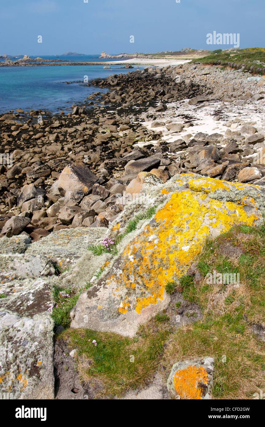 Bryher isles scilly hi-res stock photography and images - Alamy