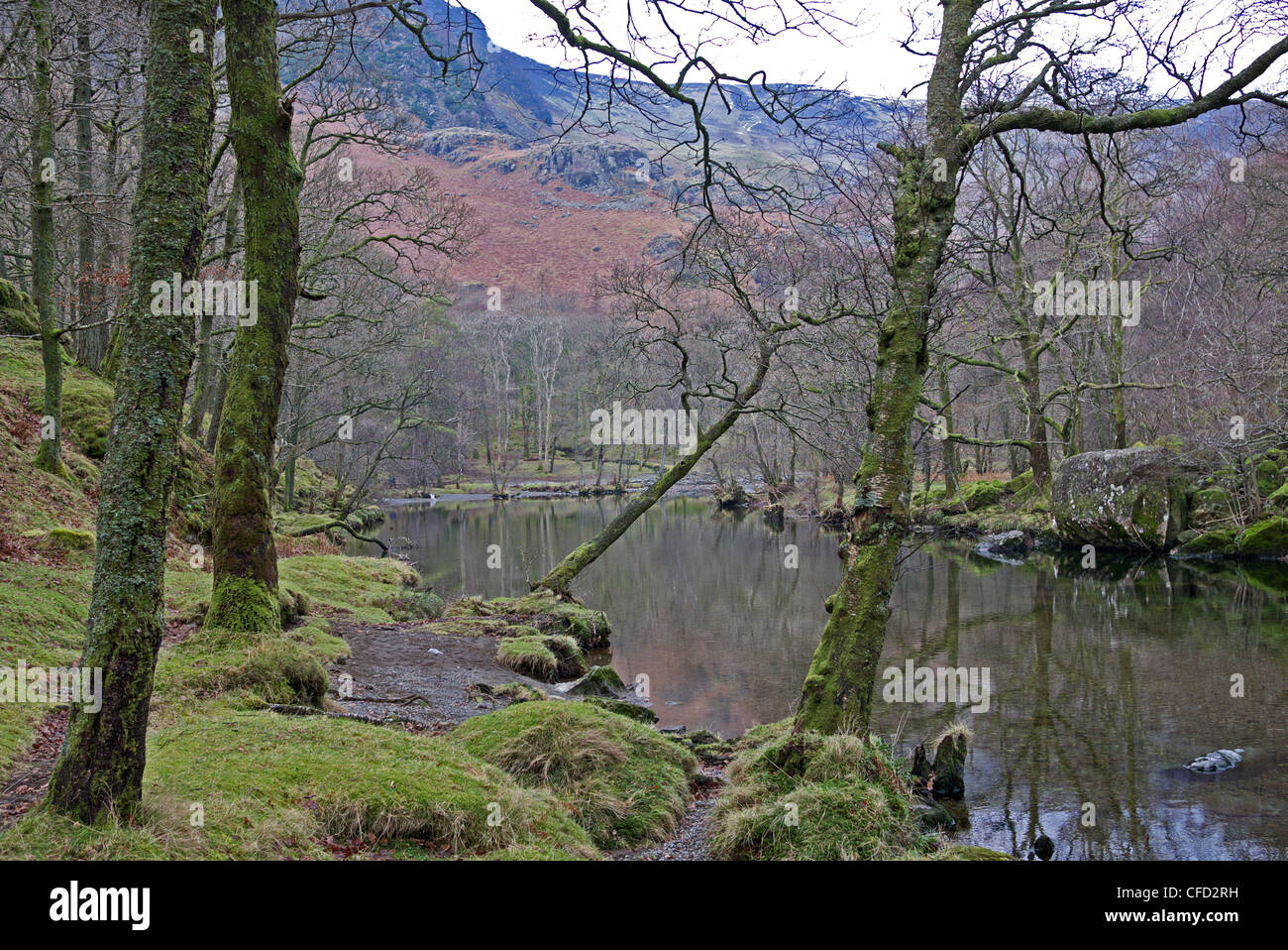 River Derwent Lake District High Resolution Stock Photography and ...