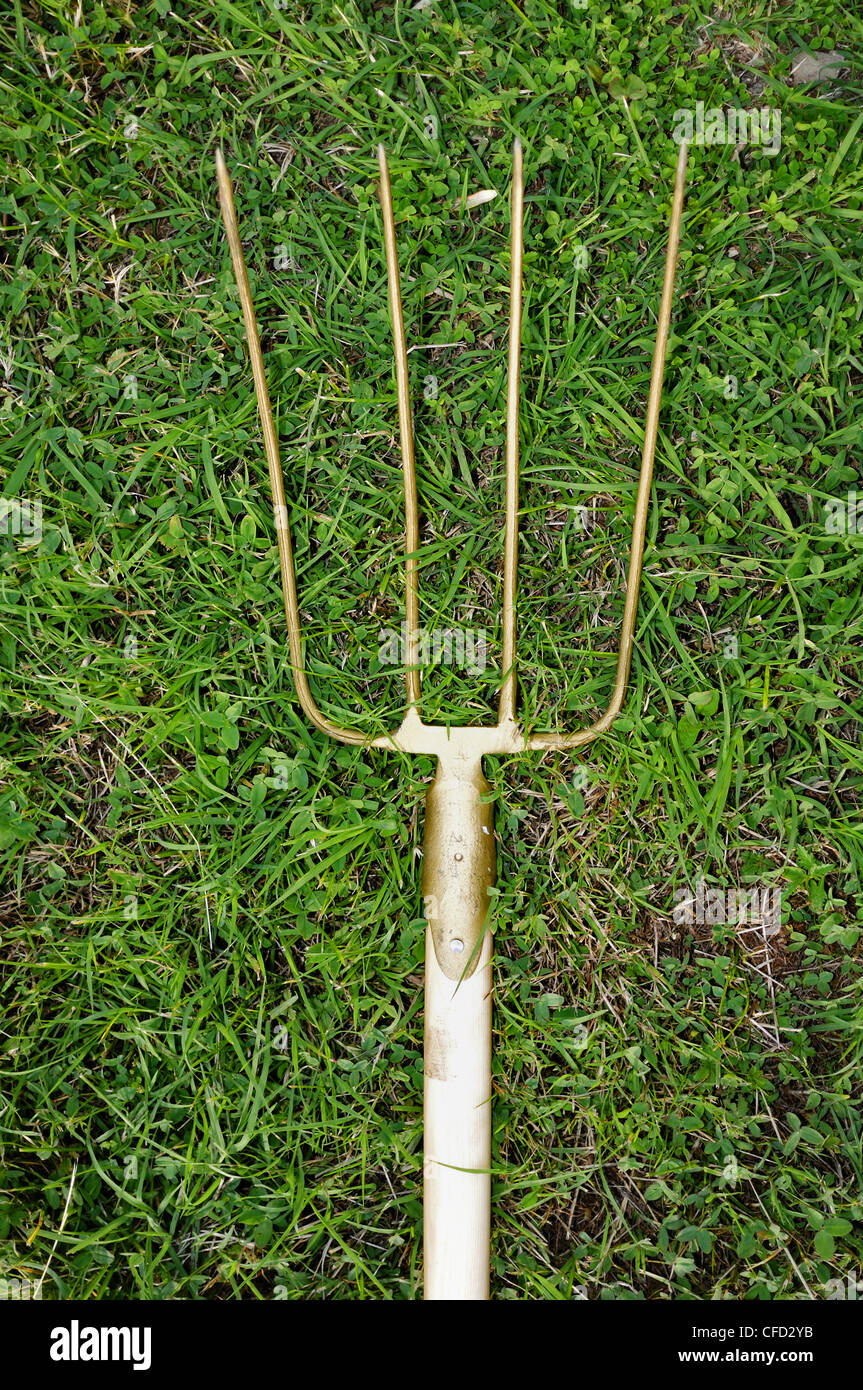 gold metal fork on green lawn Stock Photo - Alamy