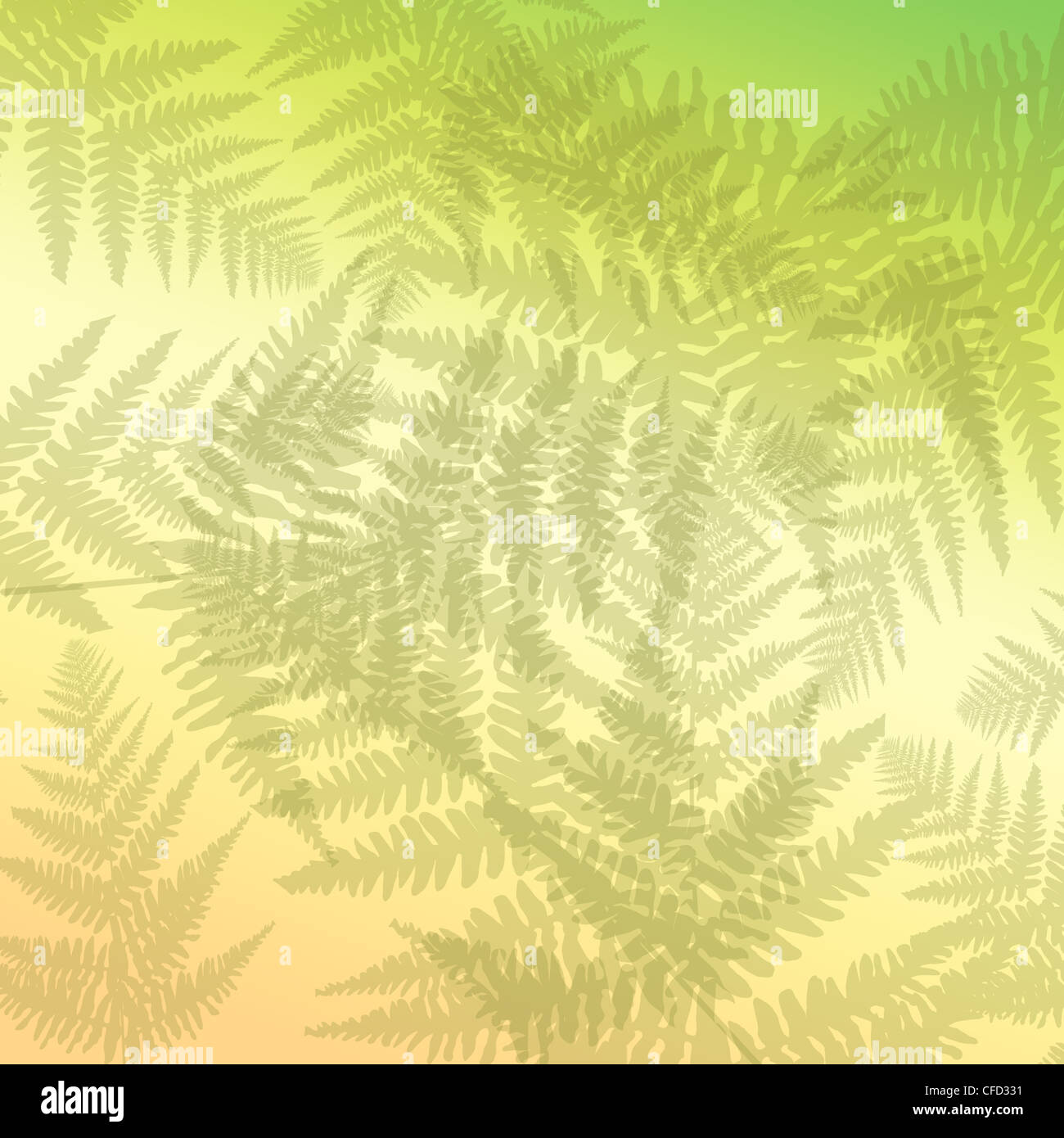 Abstract fern background Stock Photo - Alamy