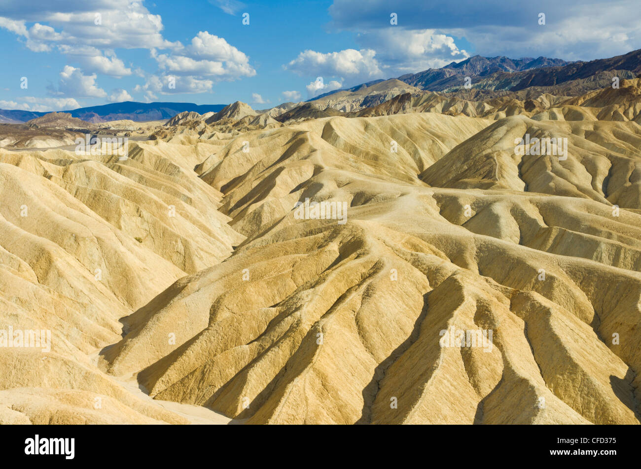 Siltstone hi-res stock photography and images - Alamy