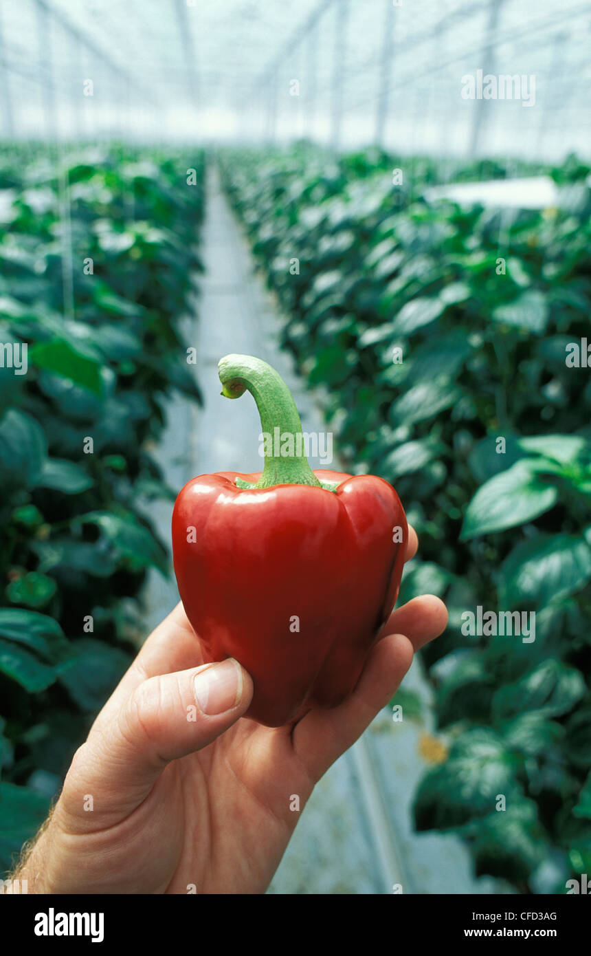 British mainland hi-res stock photography and images - Alamy