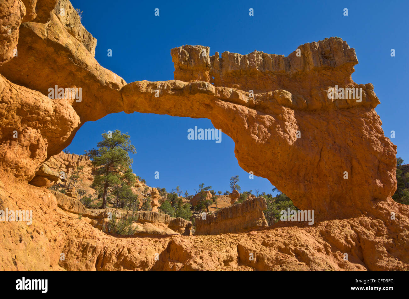 Sandstone arch of Claron formation, Pink Ledges Trail, Red Canyon, Utah ...