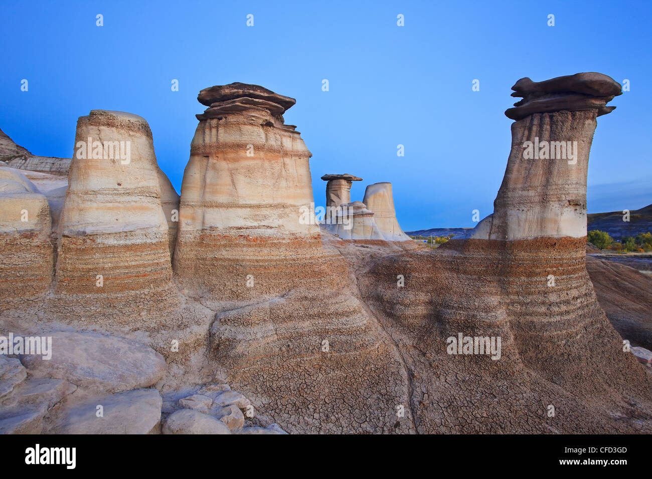 Hoodoos, rock formations in The Badlands. Drumheller, Alberta, Canada ...