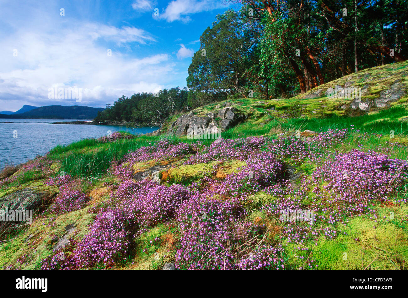 Gulf islands national park hi-res stock photography and images - Alamy